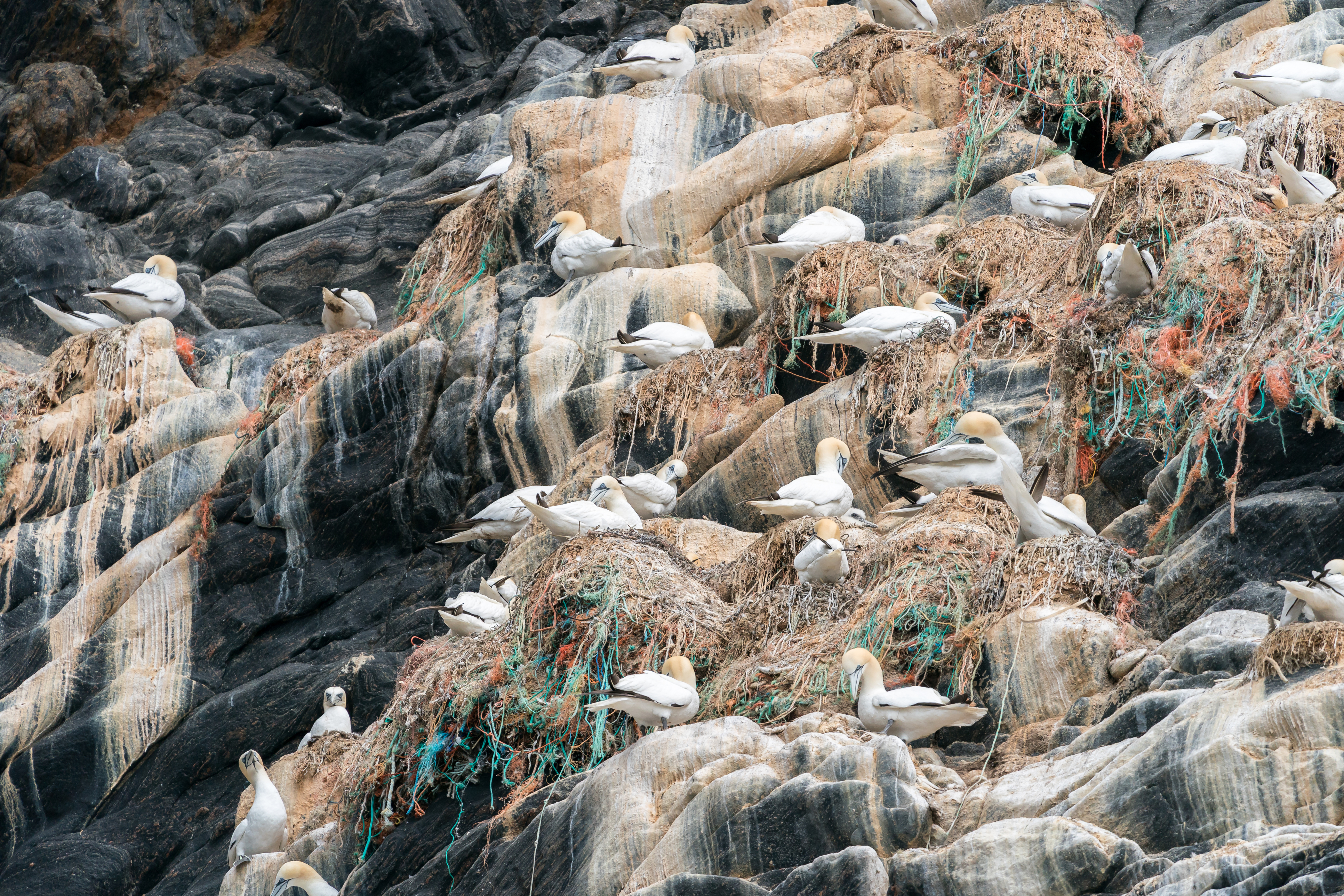 Norge og naturkrisen