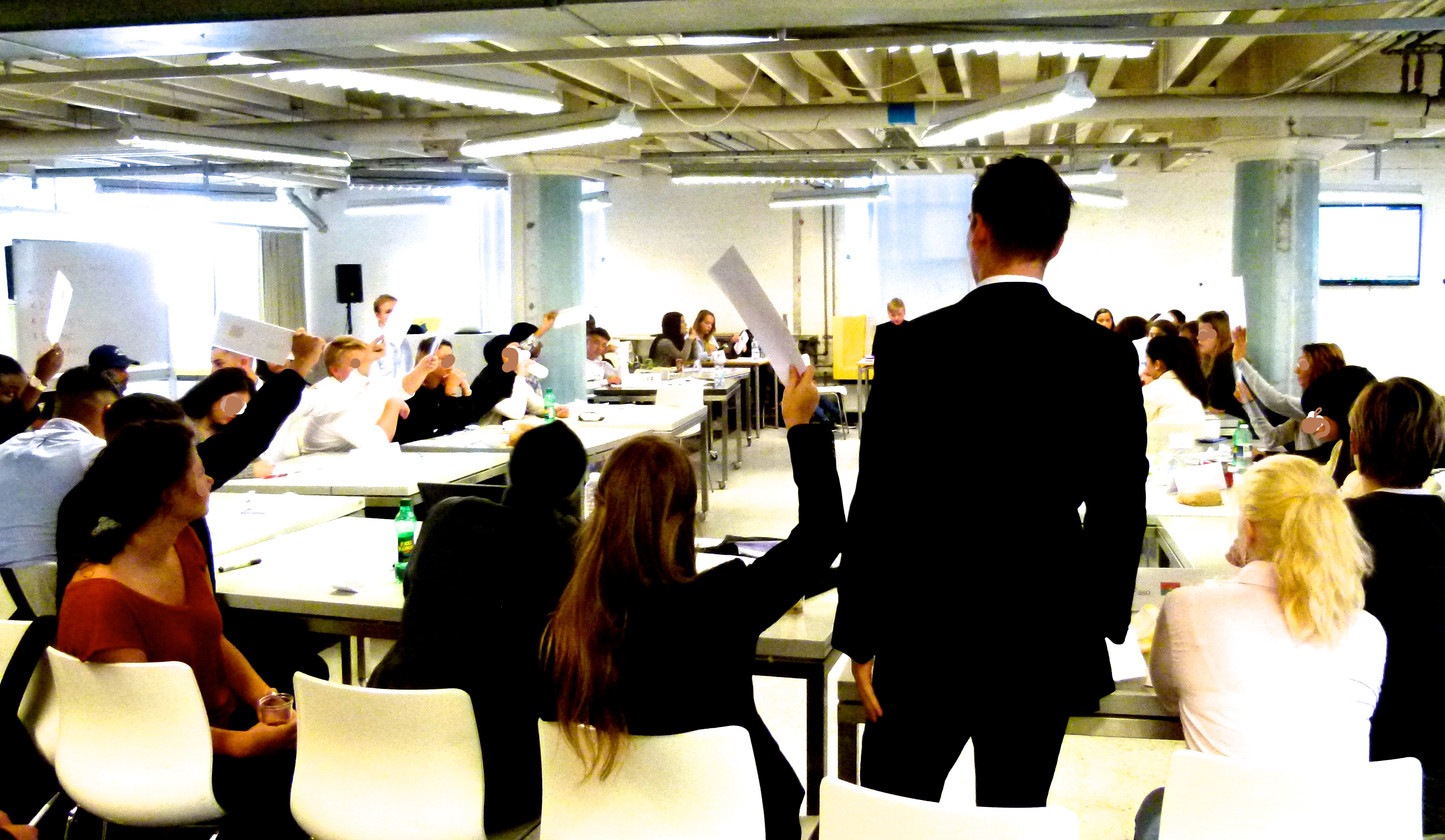 Mini Model United Nations