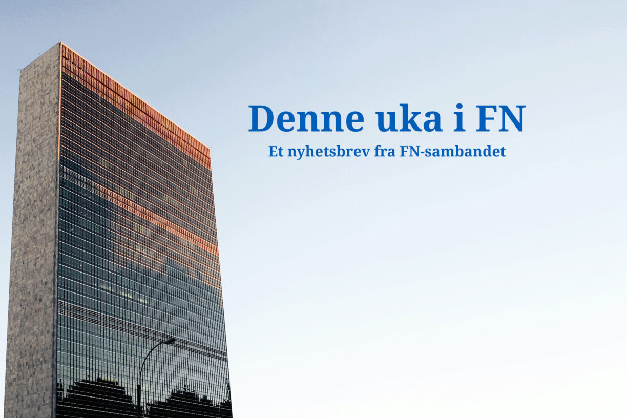Denne uka i FN: Norges første uke i Sikkerhetsrådet
