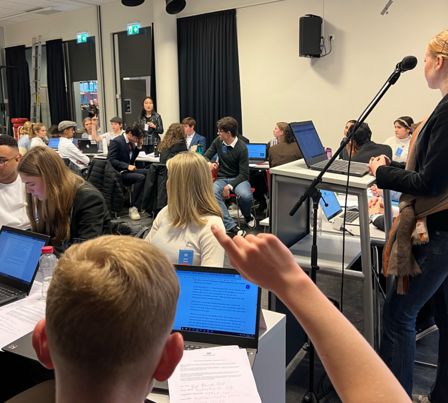 Undervisningsopplegg