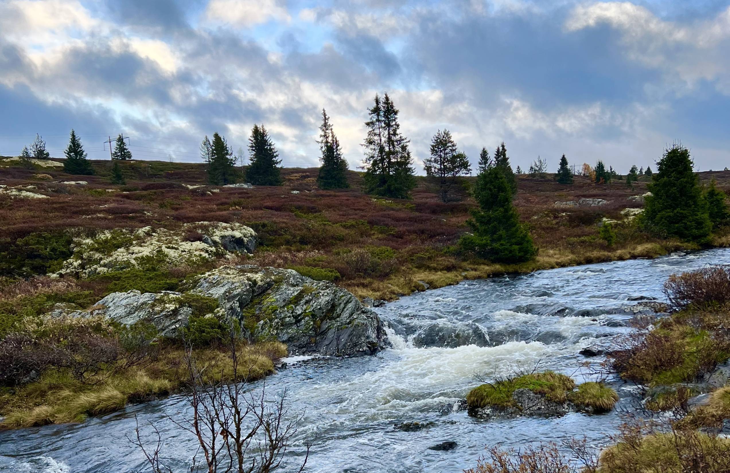 Uteskole: På jakt etter naturgoder